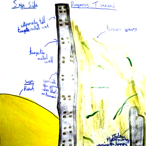 Safer Tsunami : Little Inventors